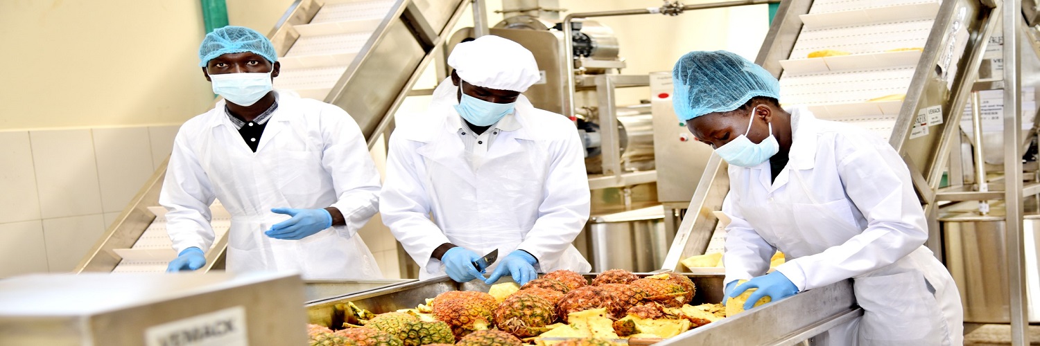 TVET | TVET MIS - TVET | TVET MIS